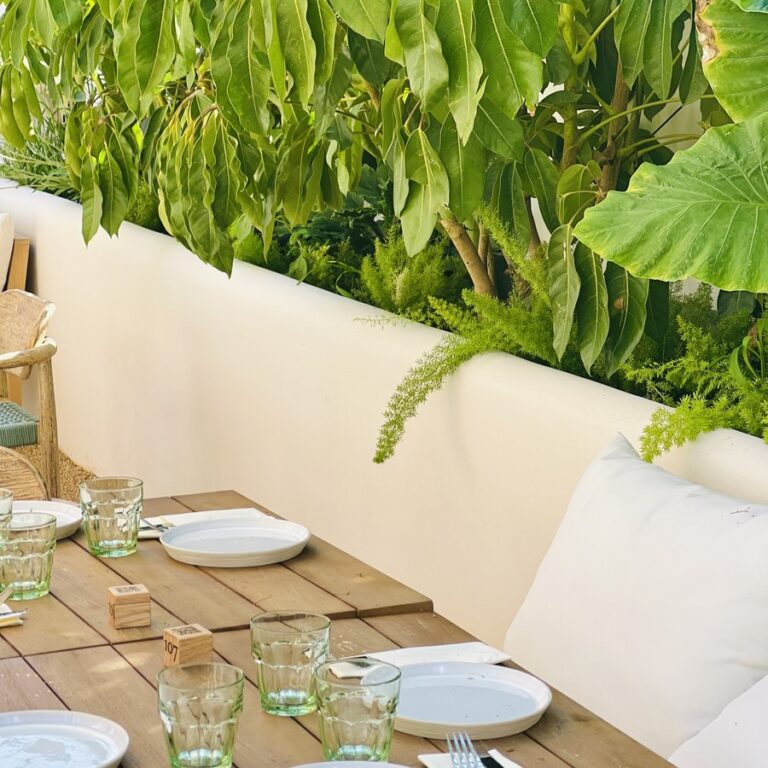 Pollensa Bay's seafront cantina | O96